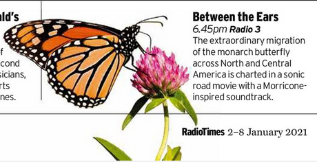 Flight of the Monarch on BBC Radio 3 | Rob Mackay